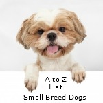 Small Dogs: The Ultimate Guide to Finding The Right Dog For You