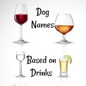 Ultimate Dog Names Resource: Index to All Puppy Names