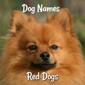 Ultimate Dog Names Resource: Index to All Dog and Puppy Names