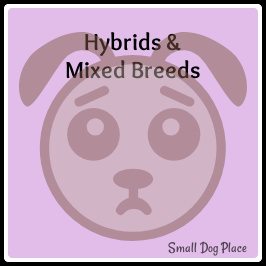 Small Dog Place: The Ultimate Resource About Small Dogs