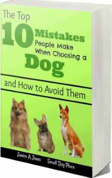 Small Dog Place: The Ultimate Resource About Small Dogs