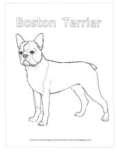 Kids Puppy Coloring Pages: All Free
